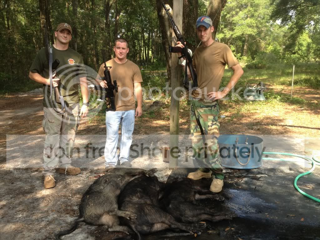 Weekend Hog Hunt with AK 47/74 and AR | AK Rifles